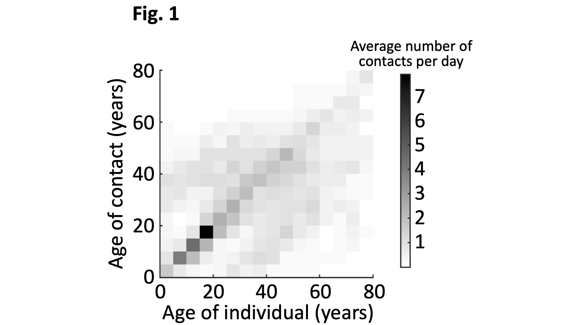 Mathematical modelling of COVID-19 exit strategies | Mathematical Institute