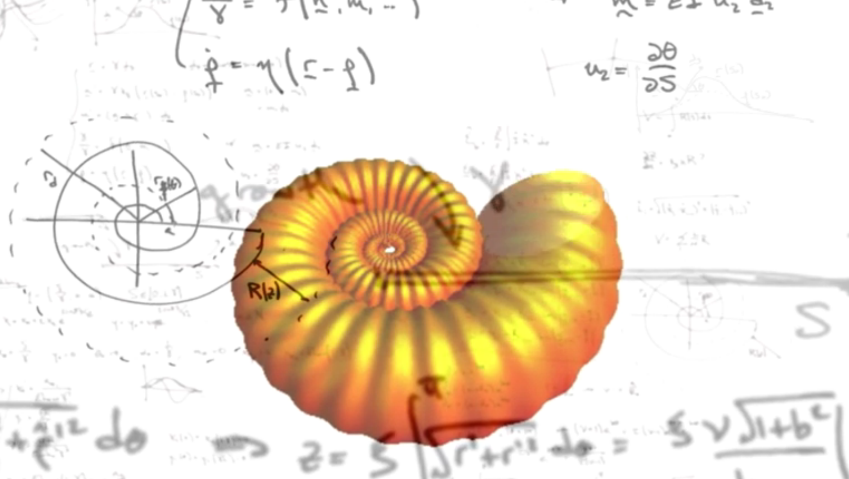 Poking, Shells and Tumours - see what Oxford Mathematicians really get ...